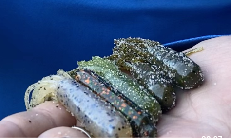 The Perfect Tube Rig for Smallmouth Bass (Step-by-Step Setup ...
